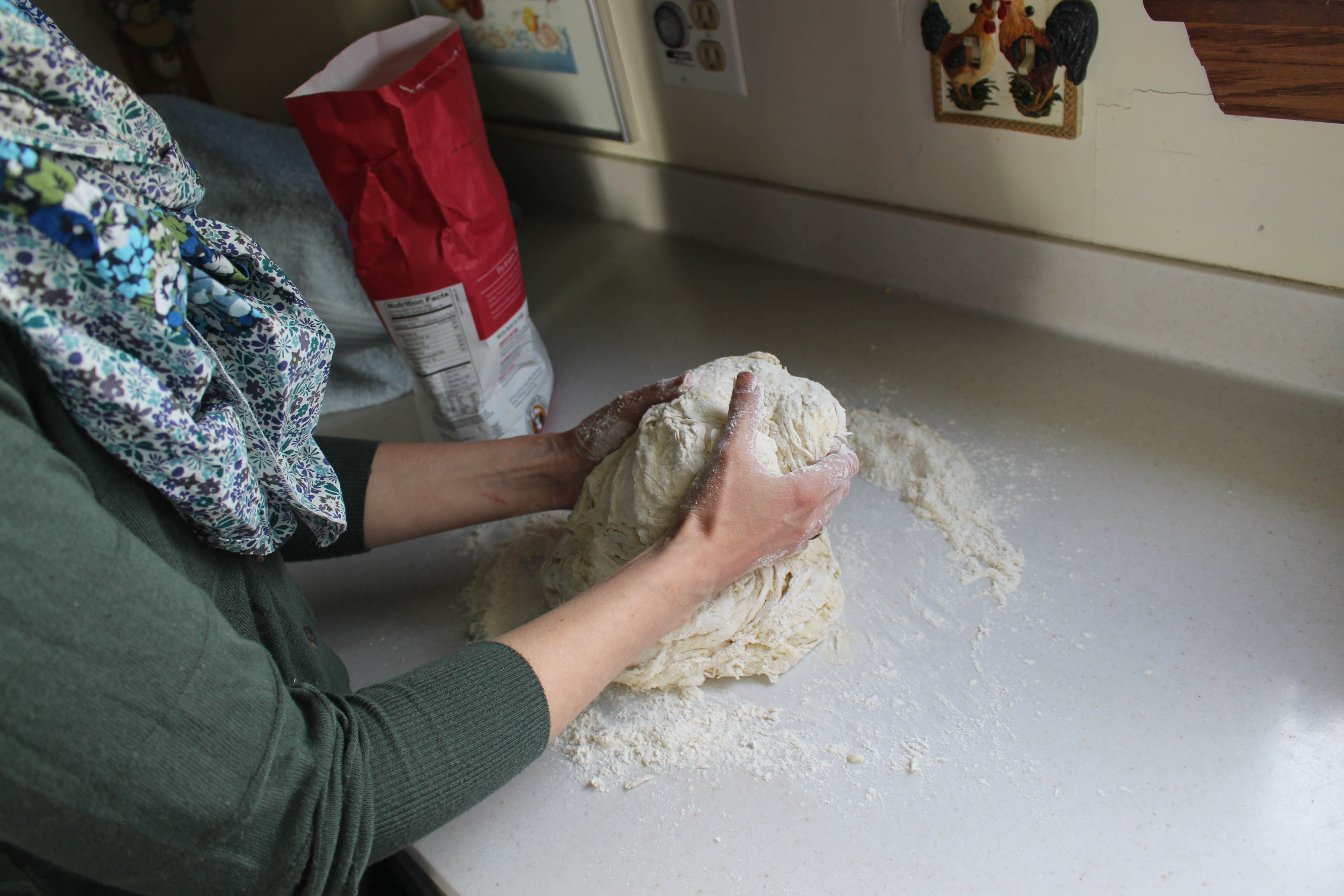 2018 Master Artists & Apprentice Feature: Genevieve Bardwell, Susan Ray ...